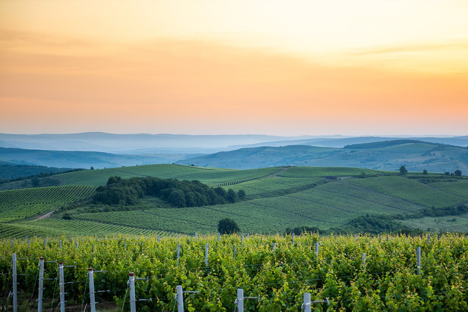 JIDVEI | CASTELUL BETHLEN-HALLER