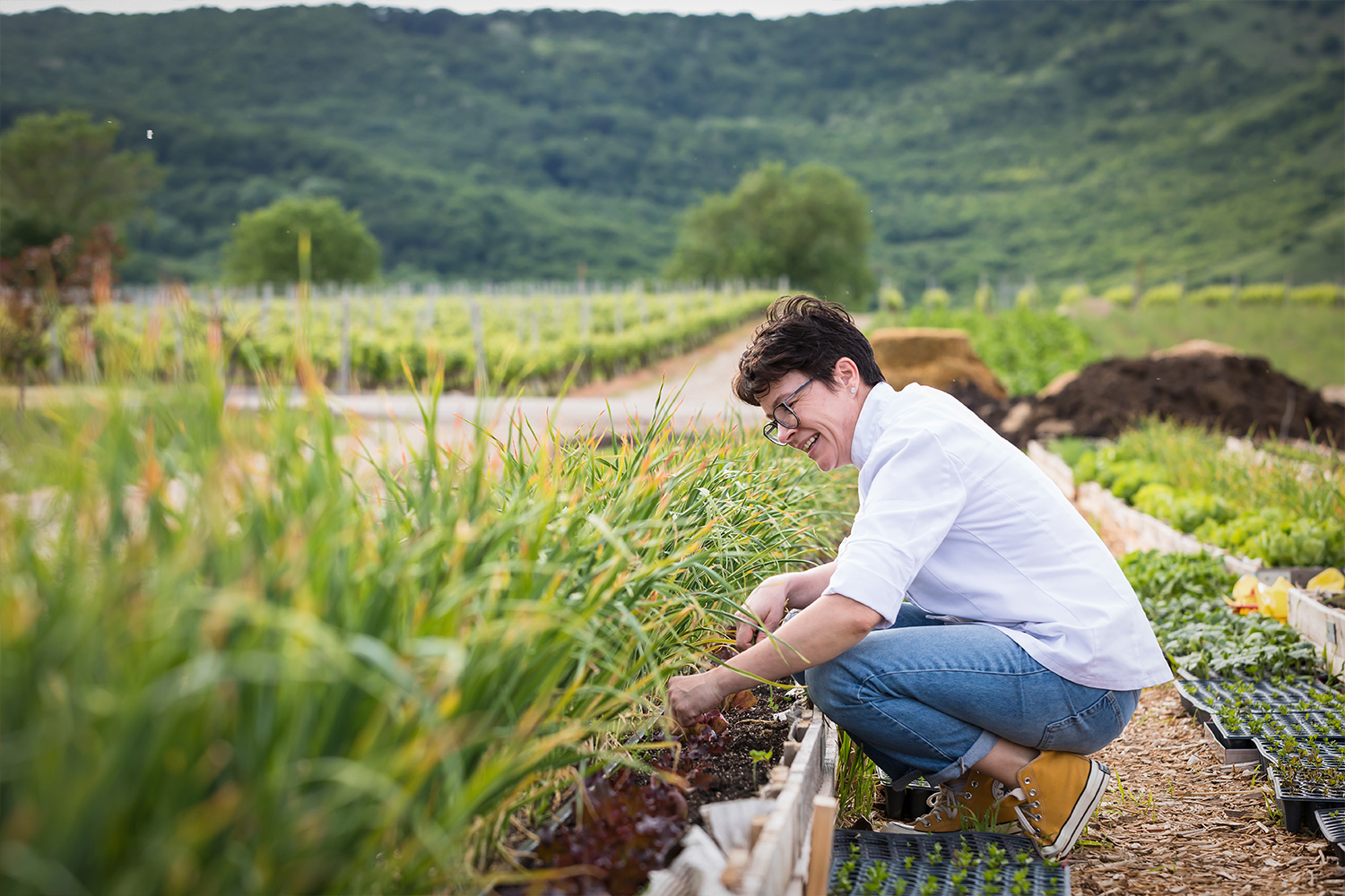 JIDVEI | CASTELUL BETHLEN-HALLER