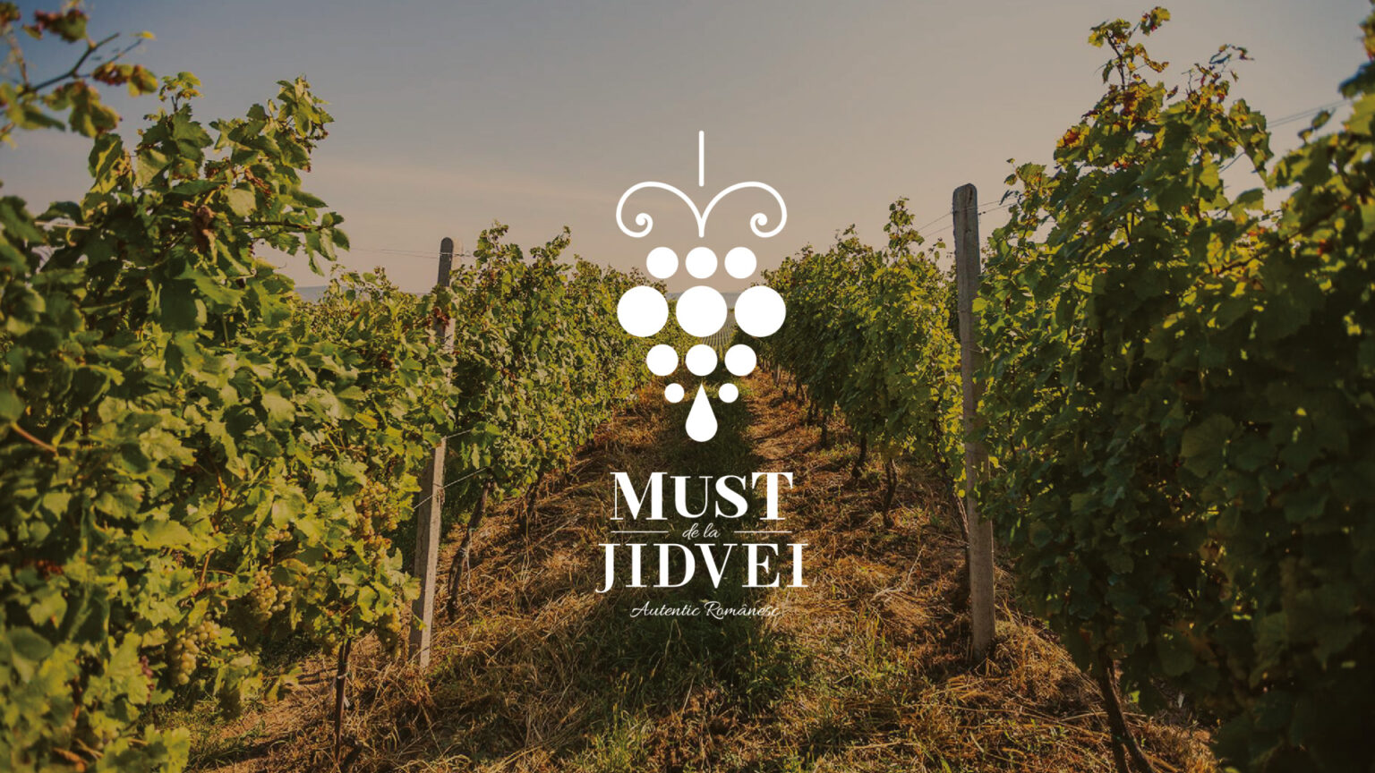 Jidvei dă startul ediției 2024 a campaniei „Must de la Jidvei” - Jidvei ...